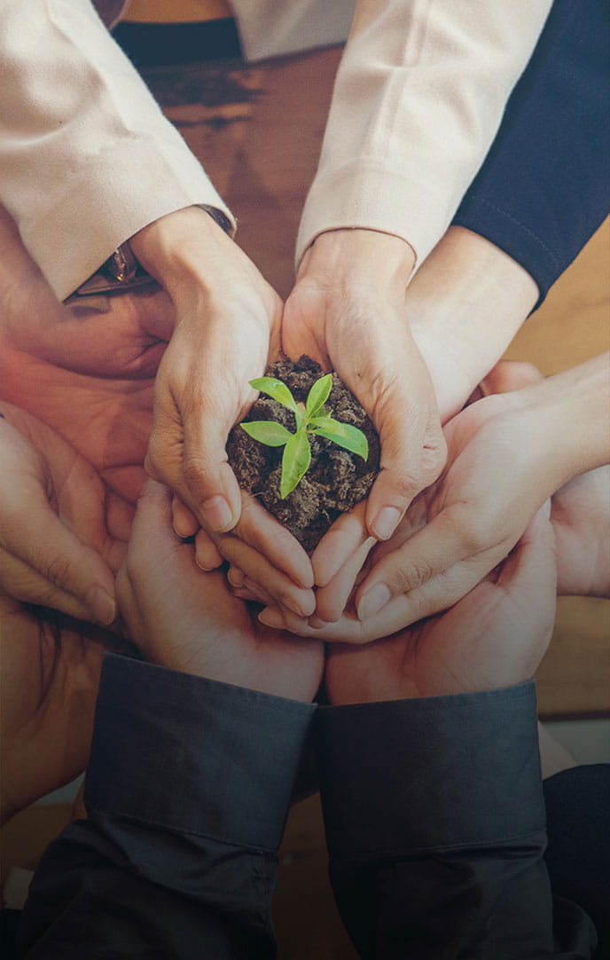 COMPANY | Azuma Foods International Holdings